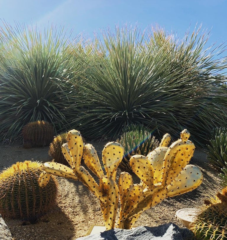 Gilt Brass Cactus Coffee Table "Amalfi" by Alain Chervet at 1stDibs ...