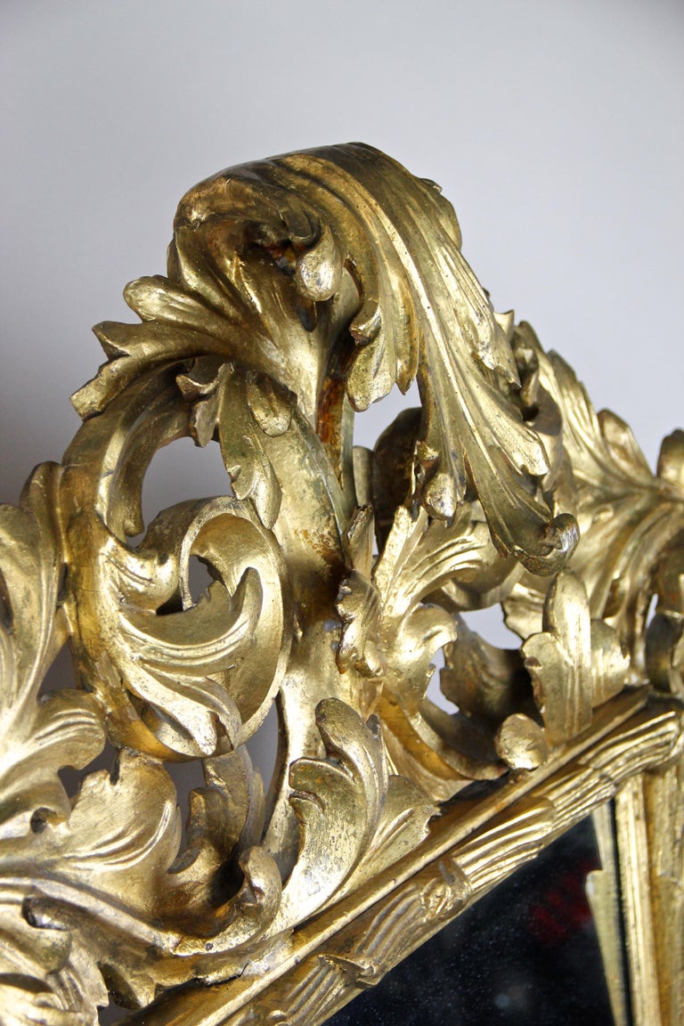 Gilt Florentine Wall Mirror Hand Carved, Austria, circa 1850 For Sale ...