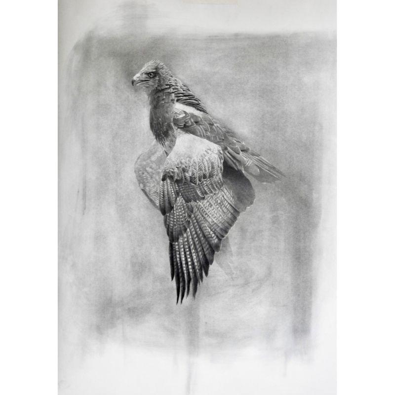 Graphite Prints and Multiples - 28 For Sale at 1stDibs