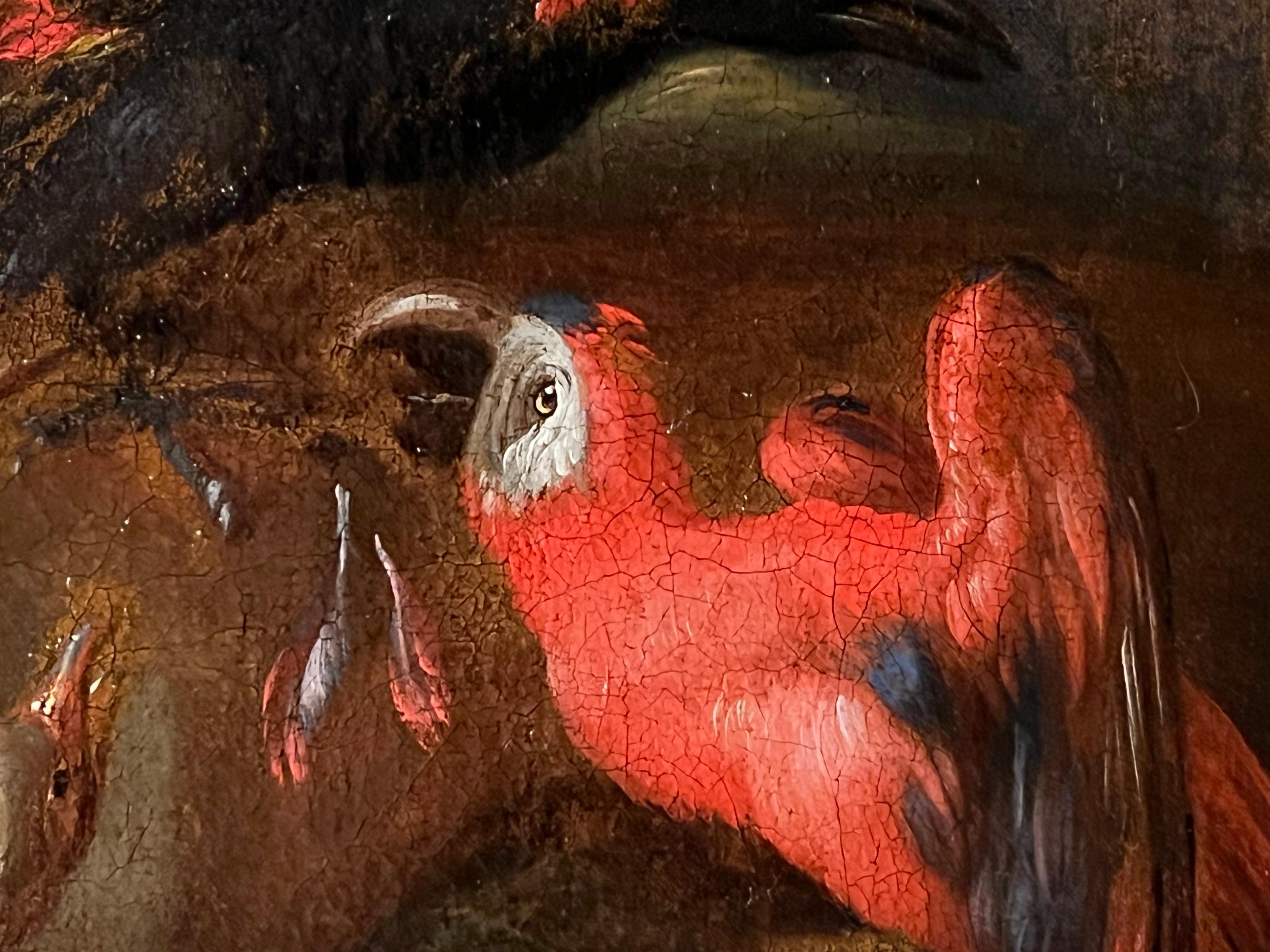 18th century Old Master animal painting - The fable of the borrowed ...