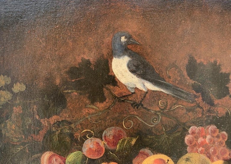 18th century Italian Still Life painting - Fruit bird - Oil on canvas ...