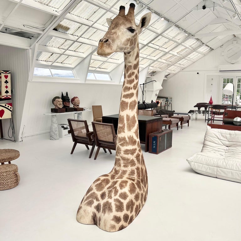 Giraffe Taxidermy Floor Mount, 1980s For Sale at 1stDibs