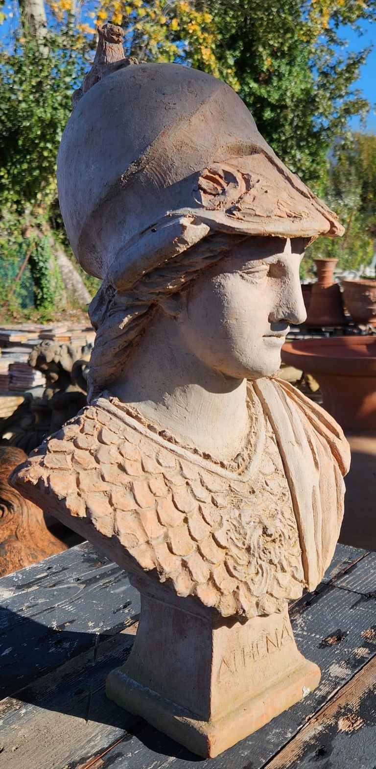 Giustiniani Athena Head in Patinated Terracotta Early 20th Century For ...