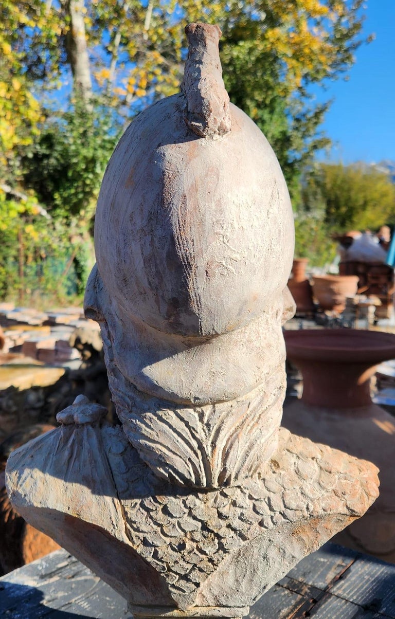 Giustiniani Athena Head in Patinated Terracotta Early 20th Century For ...