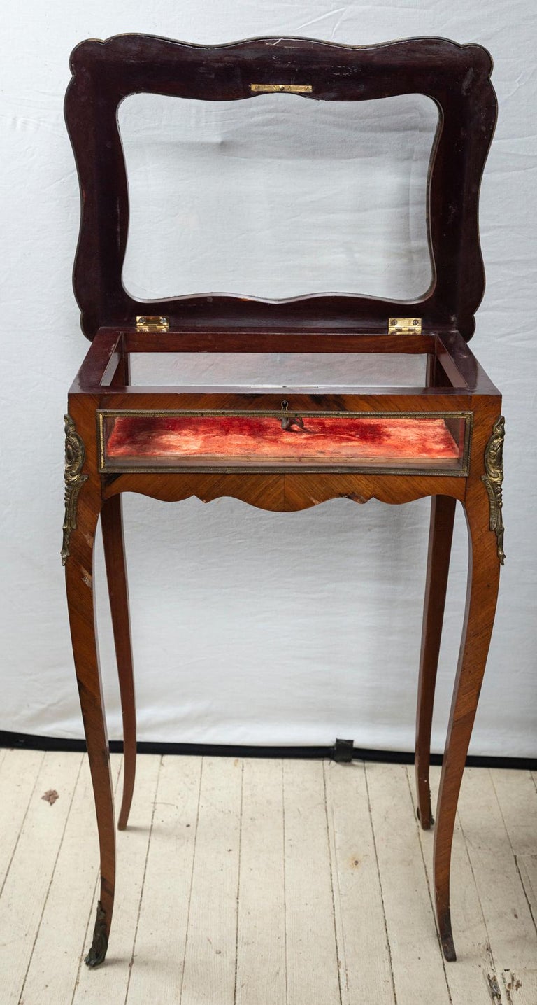 Glass Lid and Sides Vitrine or Display Table For Sale at 1stDibs