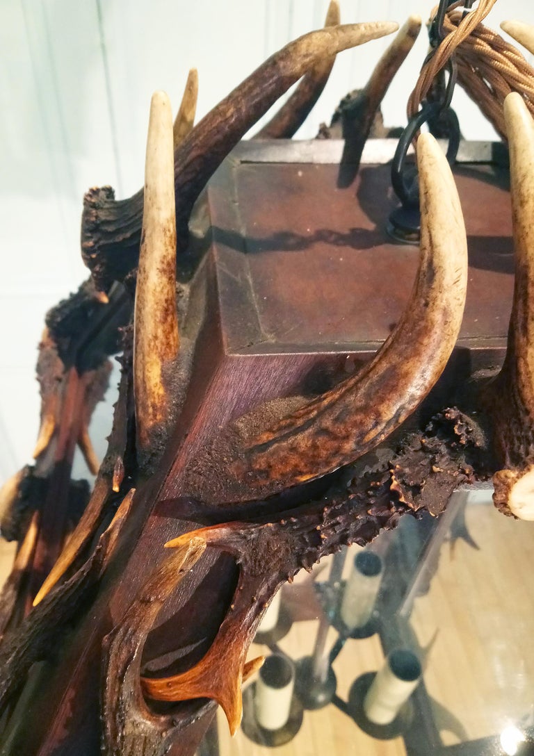 Glass Panelled Antler Horn Lantern For Sale at 1stDibs