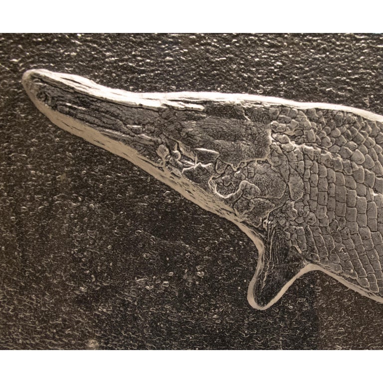 Glass Sculpture, Cast from 50 Million Year Old Eocene Era Fossil Fish ...