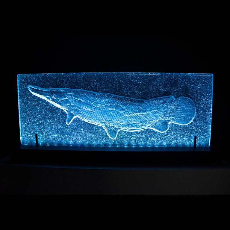 Glass Sculpture, Cast from 50 Million Year Old Eocene Era Fossil Fish ...