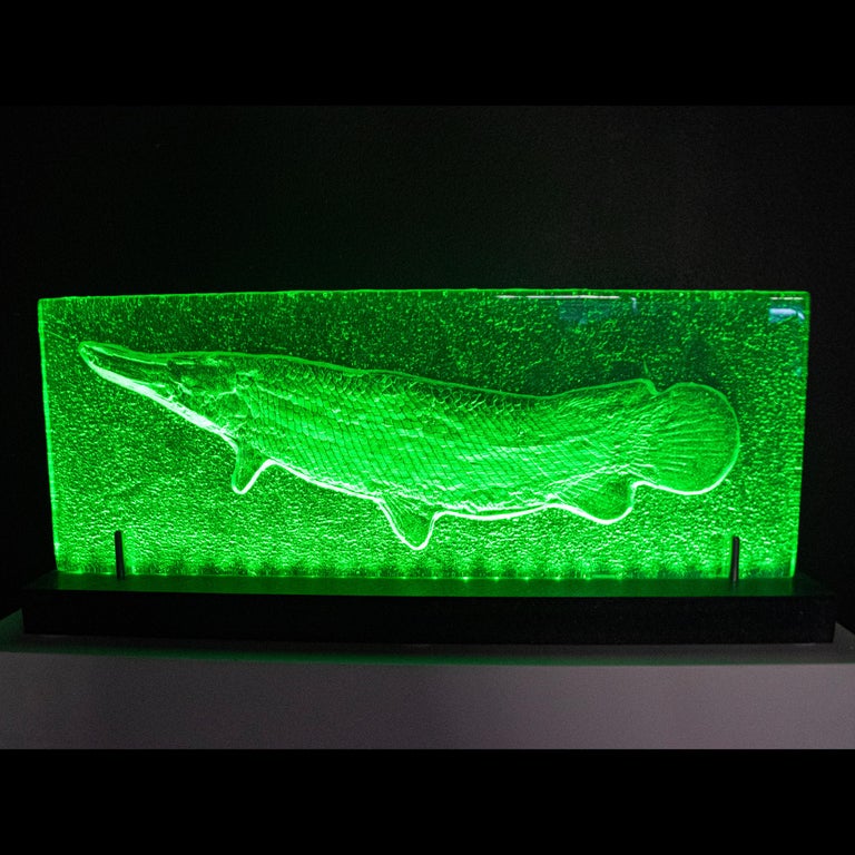 Glass Sculpture, Cast from 50 Million Year Old Eocene Era Fossil Fish ...