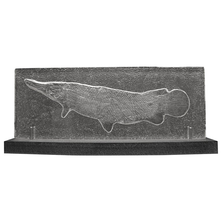 Glass Sculpture, Cast from 50 Million Year Old Eocene Era Fossil Fish ...
