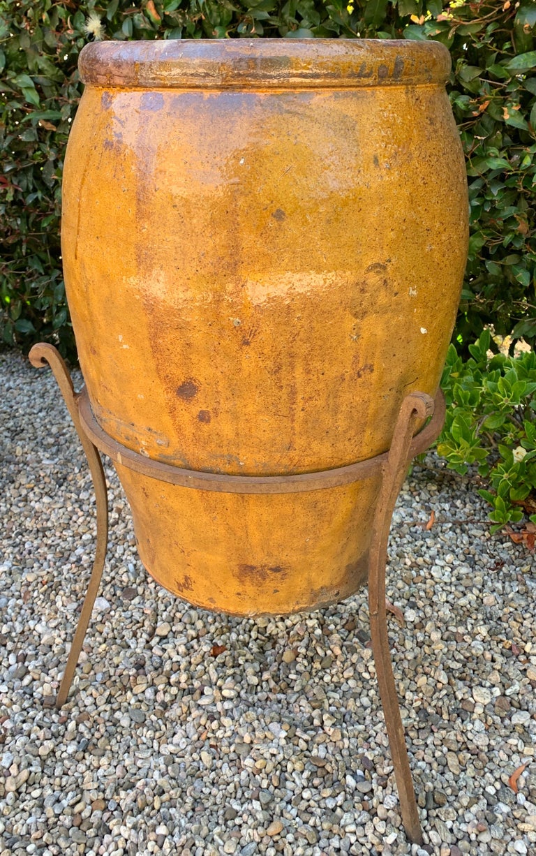 Glazed Terracotta Garden Planter in Iron Frame For Sale at 1stDibs