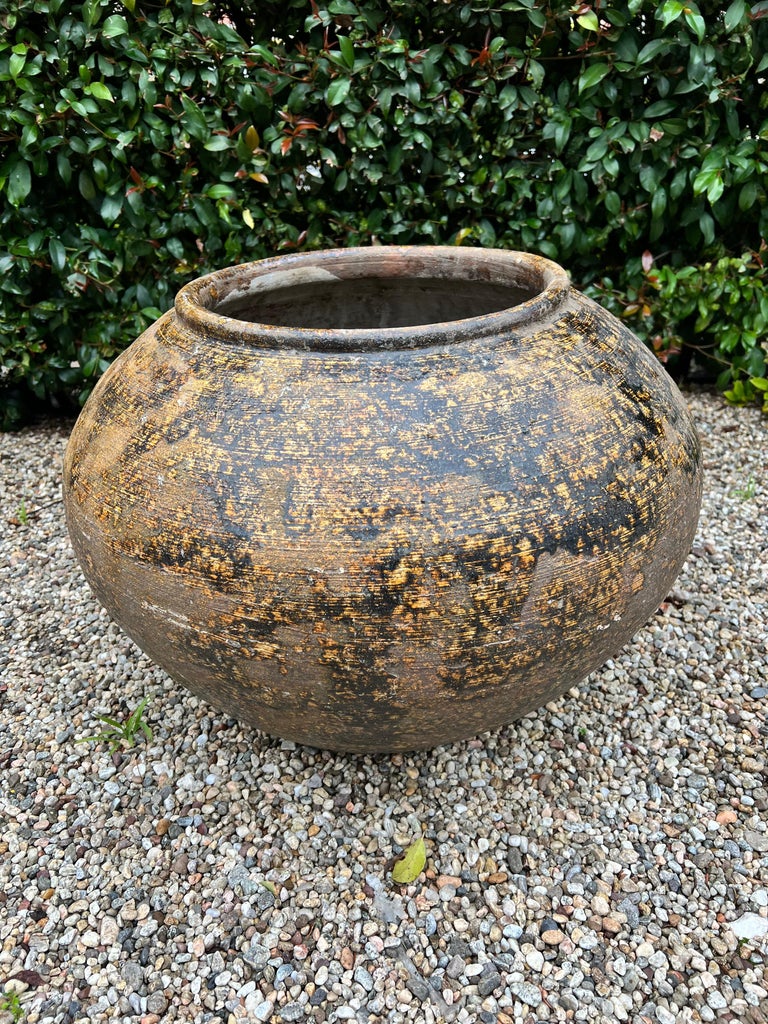 Golden Brown Patinated Glazed Terracotta Planter For Sale at 1stDibs