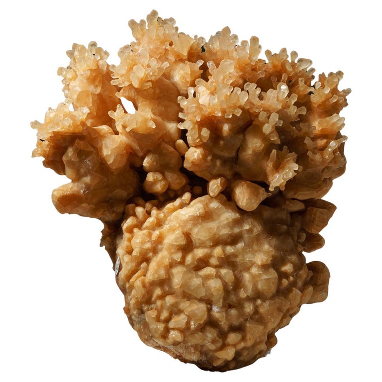 Golden Porcupine Calcite Cluster from Java, Indonesia For Sale at 1stDibs