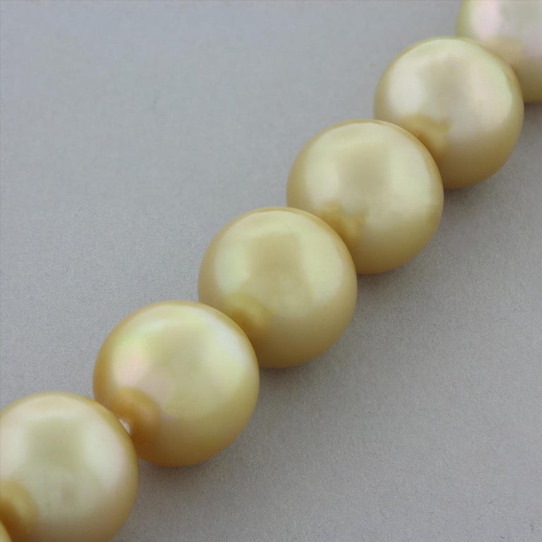 Golden South Sea Pearl Gold Necklace For Sale at 1stdibs