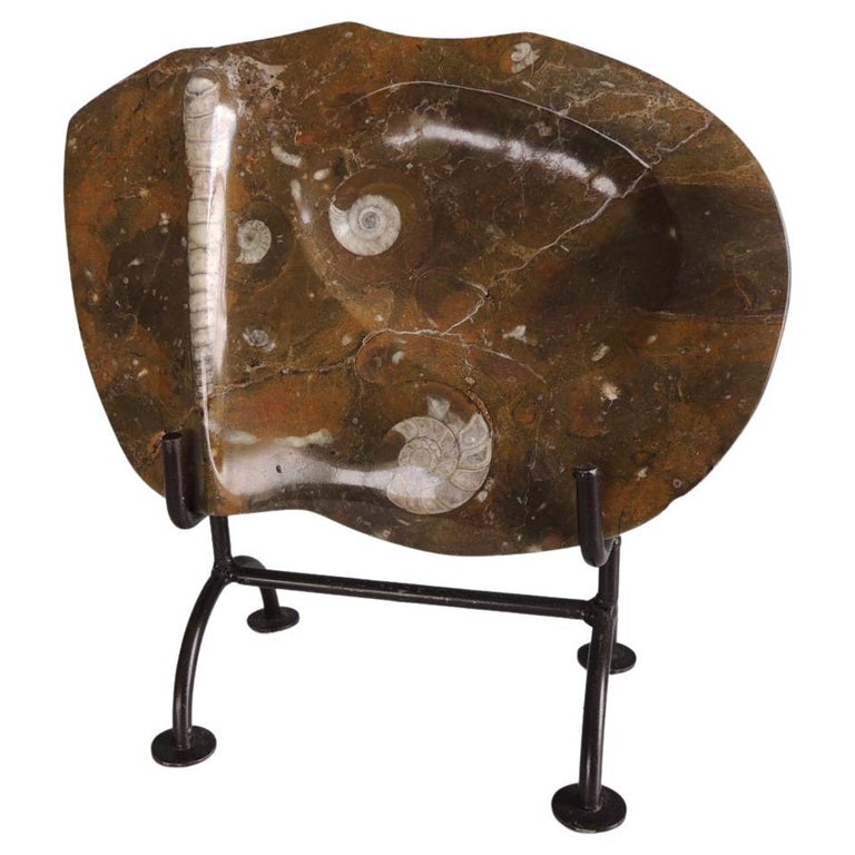 Goniatite Moroccan Stone Fossil with Sea Shells on Stand For Sale at ...