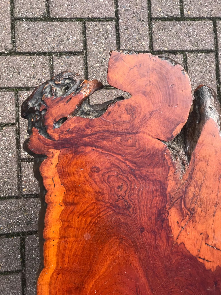 Good Size Organical Shape Cherry Burl Tree Coffee Table, Stunning Grain ...