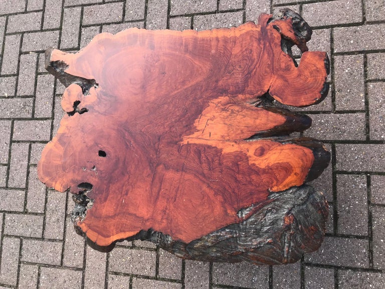 Good Size Organical Shape Cherry Burl Tree Coffee Table, Stunning Grain ...