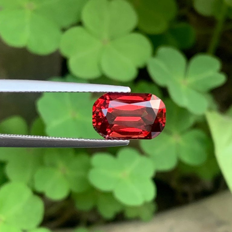 Gorgeous 3.70 Carat Natural Loose Red Rhodolite Garnet Long Cushion ...