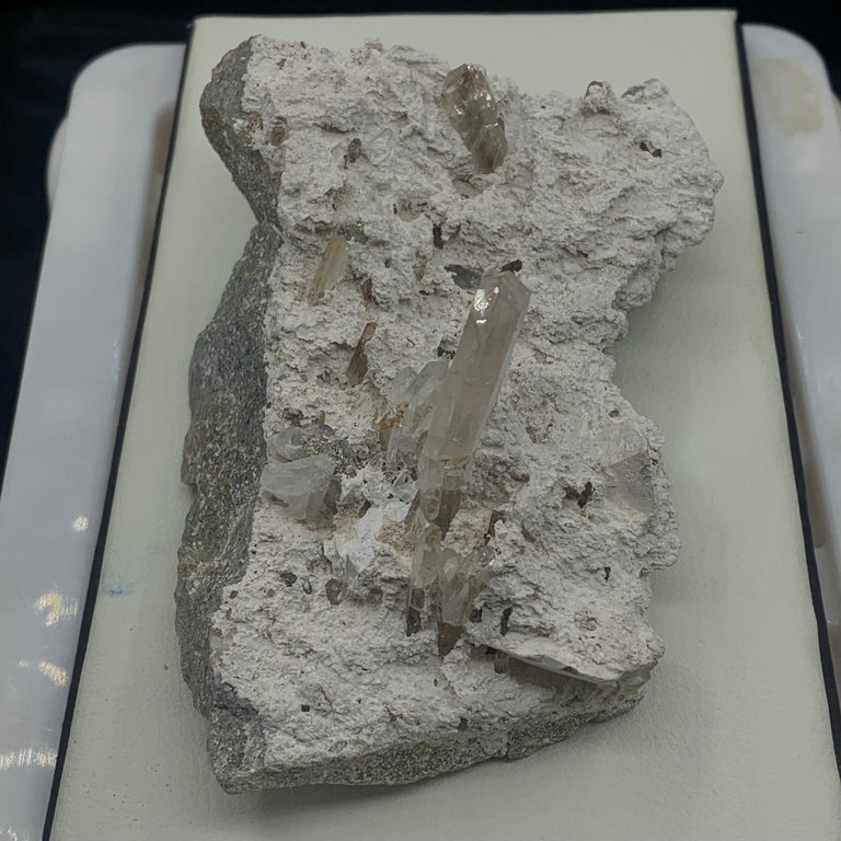 Gorgeous Faden Crystal Elongated on Matrix Mother Rock Specimen For ...