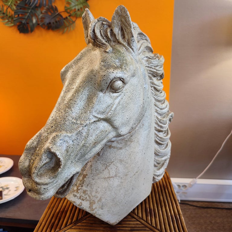 Gorgeous Stone Horse Head, circa 1900 For Sale at 1stDibs