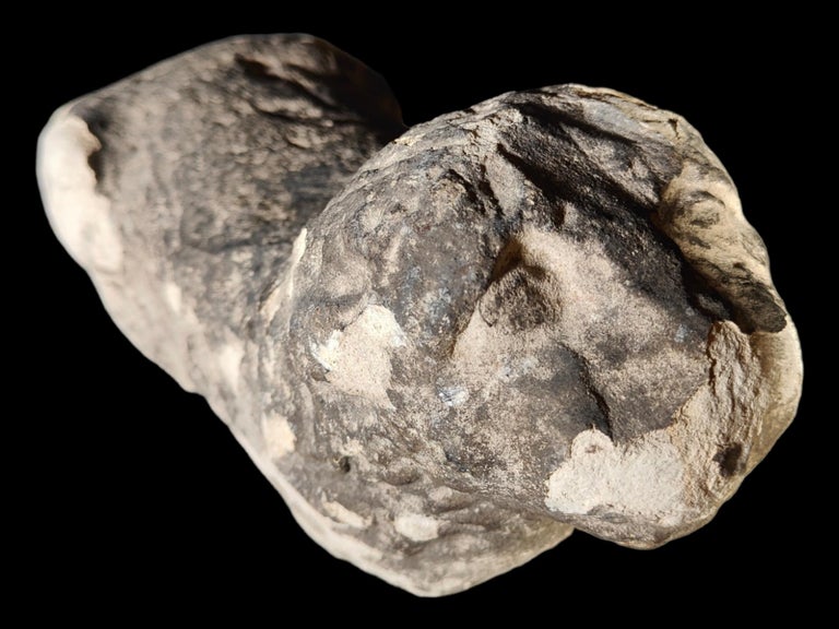 Gothic Lion XIV Century in Stone For Sale at 1stDibs