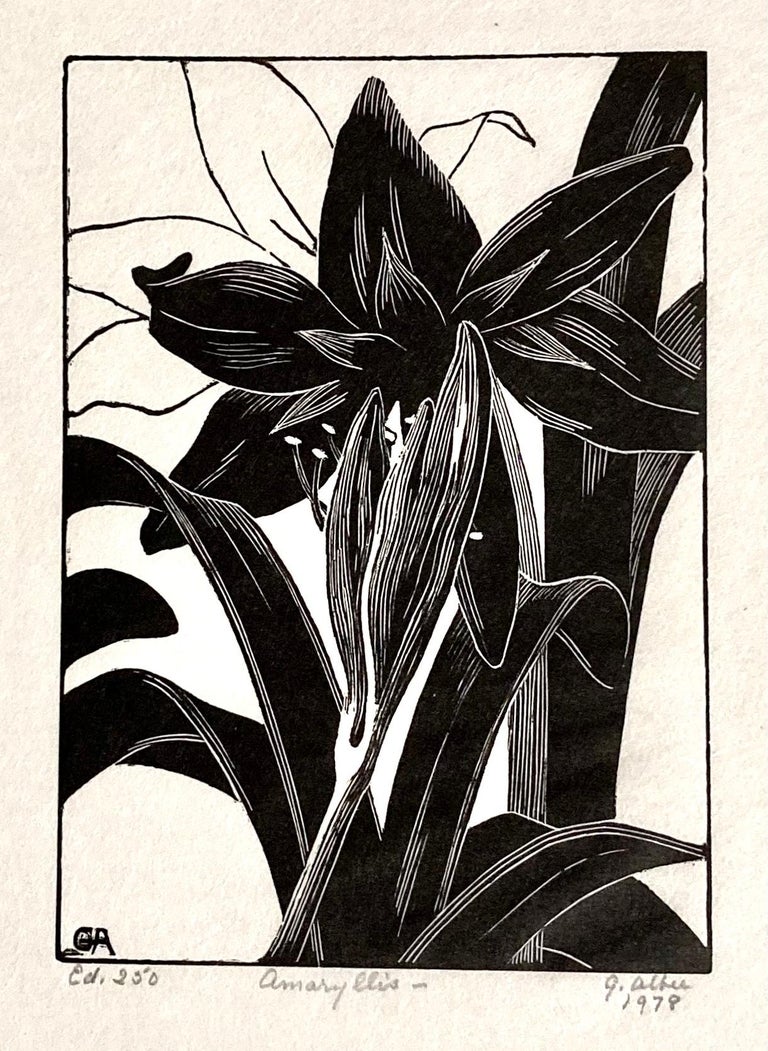 Grace Albee - Amaryllis at 1stDibs