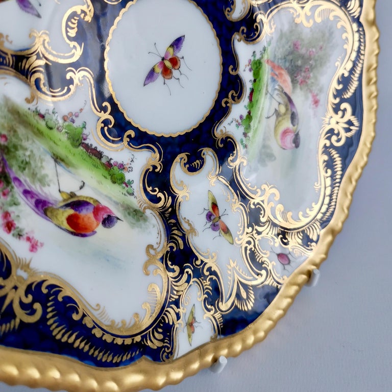 Grainger Worcester Porcelain Plate, Blue Scale, Sevres Birds and ...