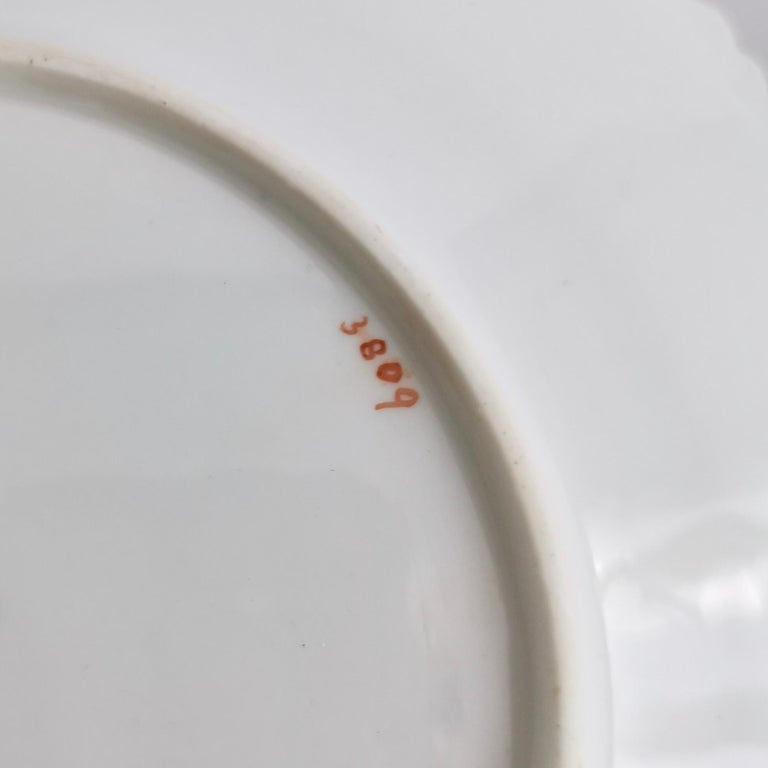 Grainger Worcester Porcelain Plate, Blue Scale, Sevres Birds and ...