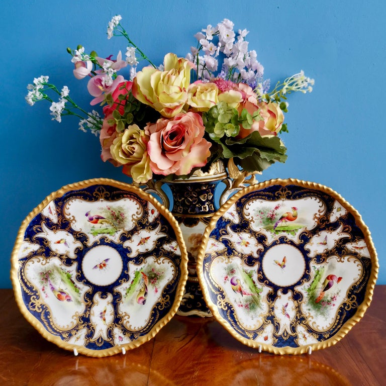 Grainger Worcester Porcelain Plate, Blue Scale, Sevres Birds and ...