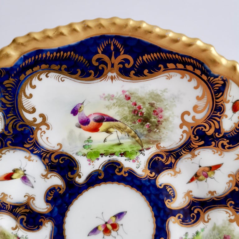 Grainger Worcester Porcelain Plate, Blue Scale, Sevres Birds and ...
