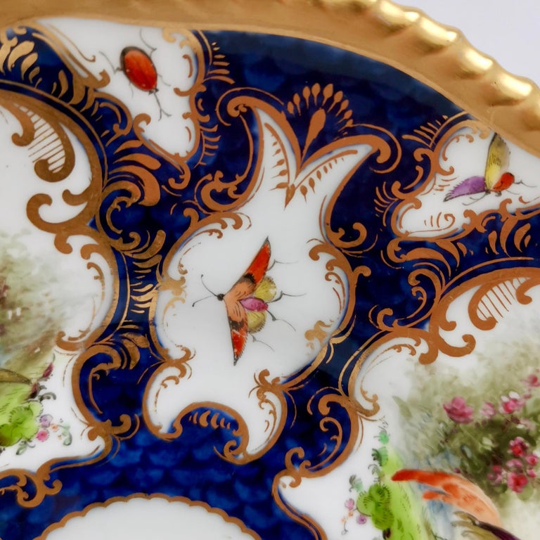 Grainger Worcester Porcelain Plate, Blue Scale, Sevres Birds and ...