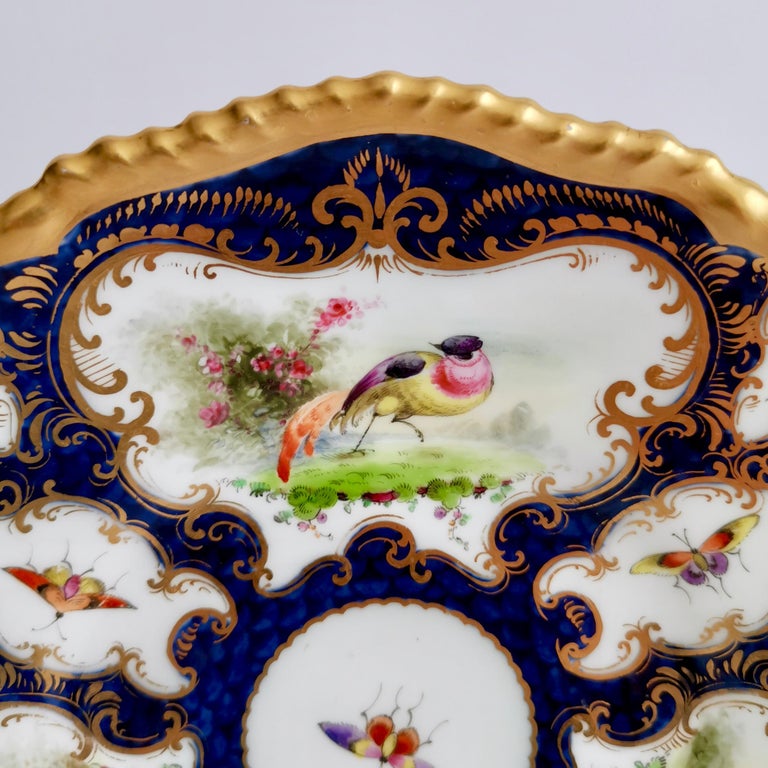 Grainger Worcester Porcelain Plate, Blue Scale, Sevres Birds and ...
