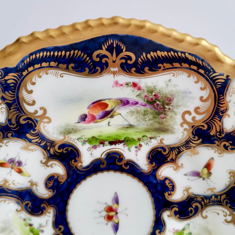 Grainger Worcester Porcelain Plate, Blue Scale, Sevres Birds and ...