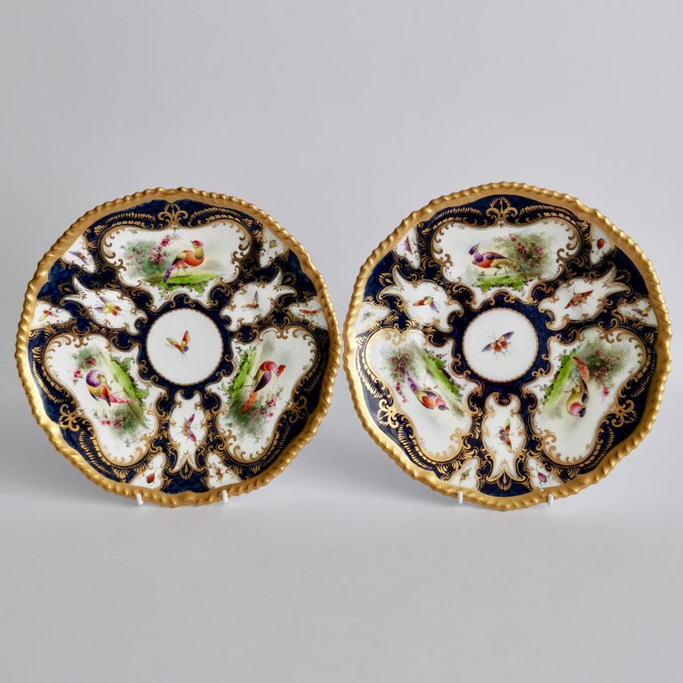 Grainger Worcester Porcelain Plate, Blue Scale, Sevres Birds and ...