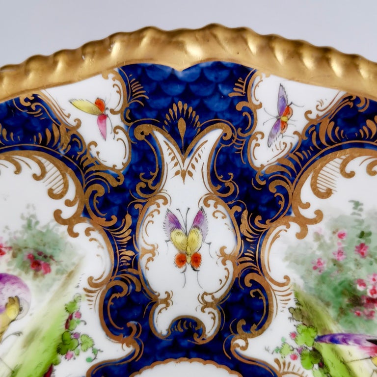 Grainger Worcester Porcelain Plate, Blue Scale, Sevres Birds and ...