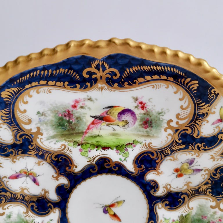Grainger Worcester Porcelain Plate, Blue Scale, Sevres Birds and ...