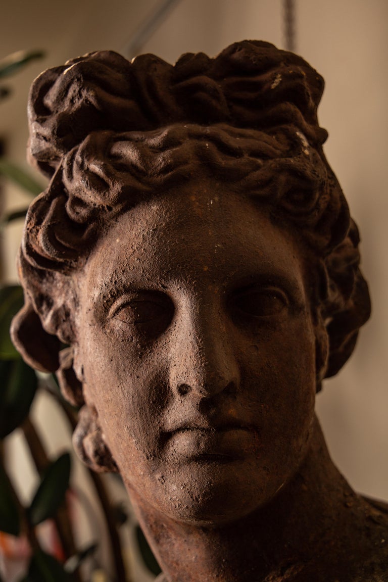 Grand Tour large scale cast iron bust of Apollo Belvedere, Italy, circa ...