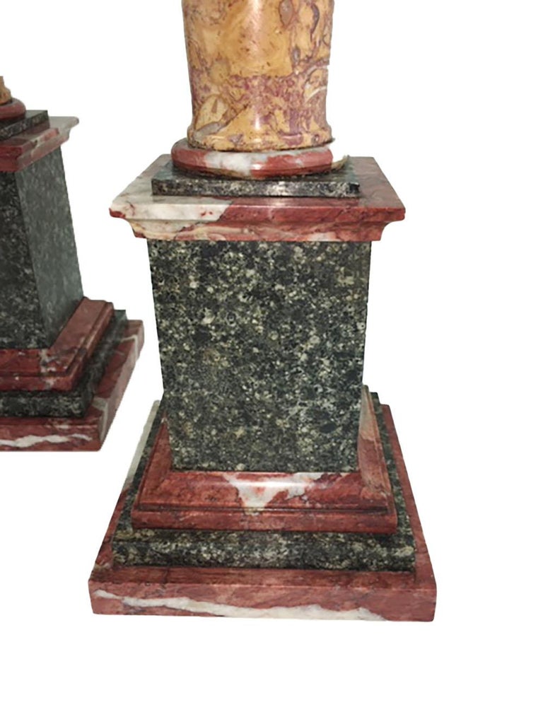 Grand Tour Marble Columns, a Pair For Sale at 1stDibs