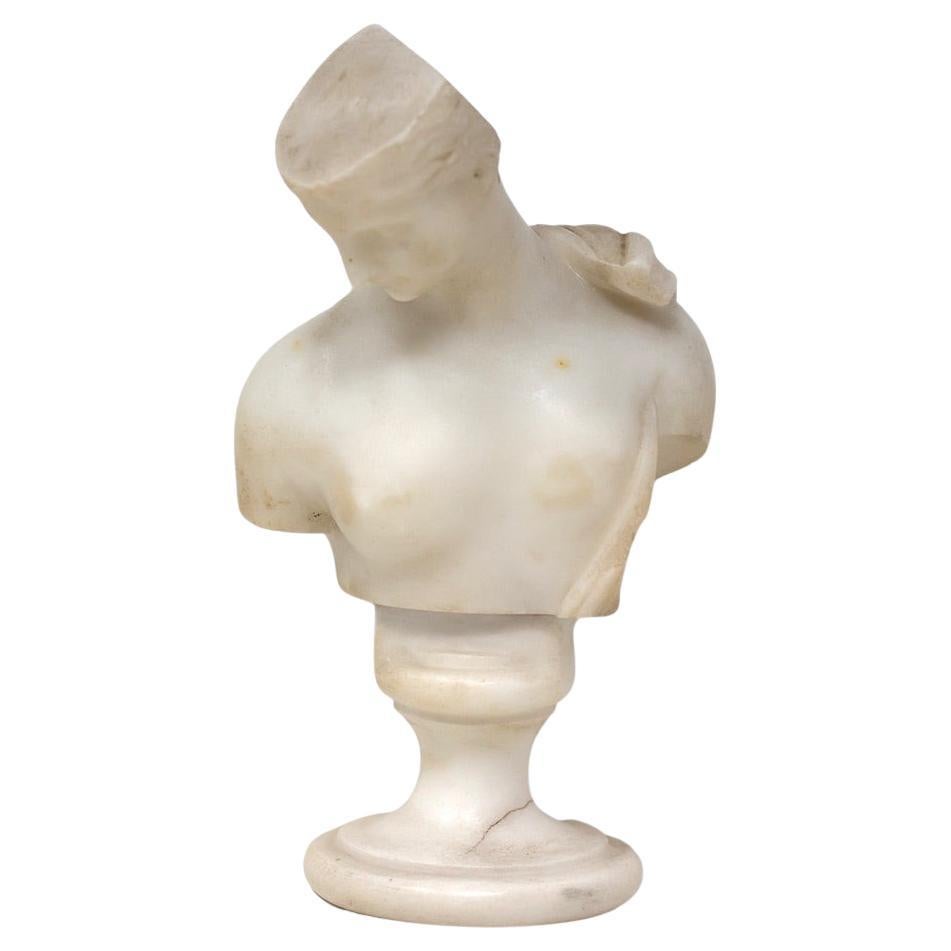 Carved Marble Female Bust at 1stDibs