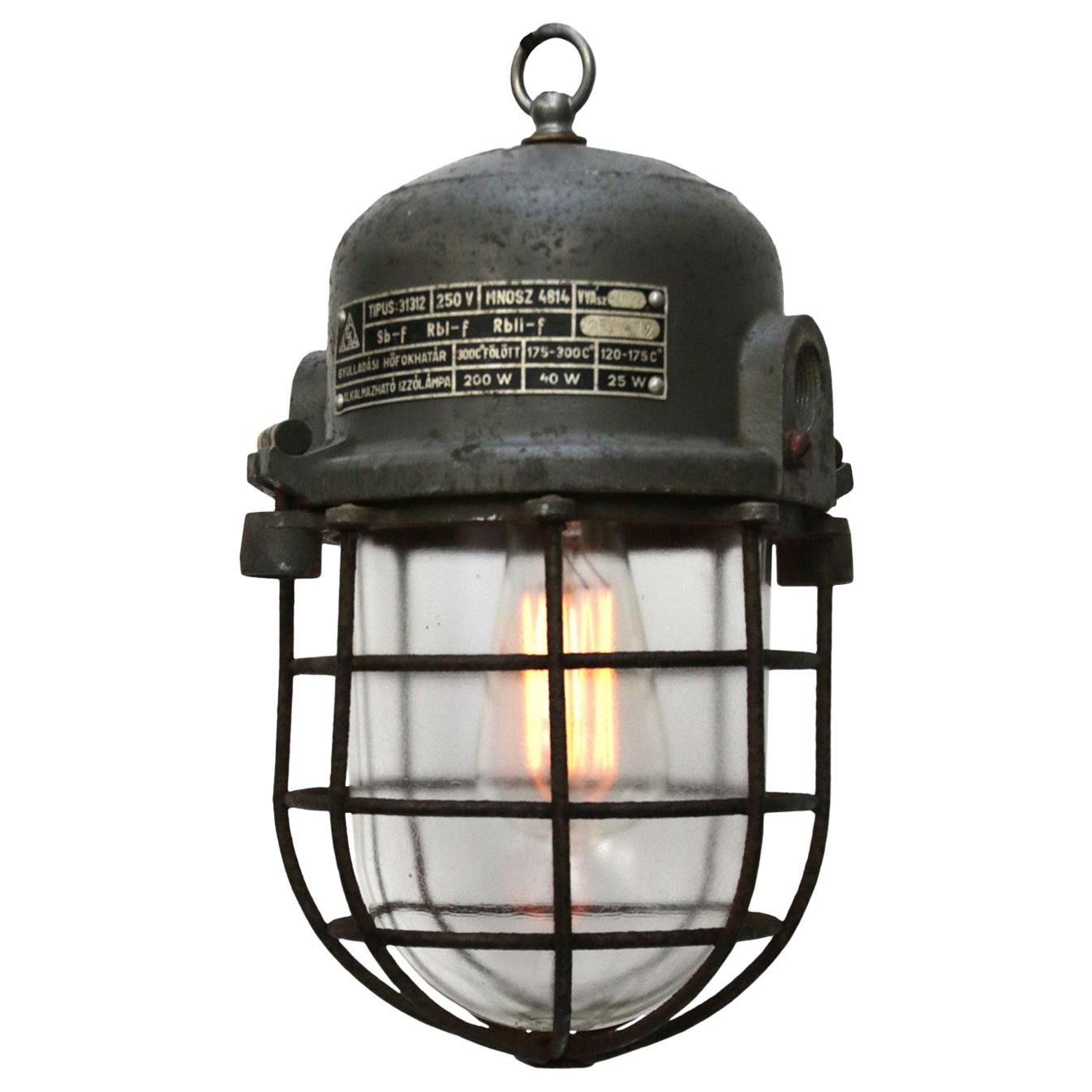 Gray Cast Aluminum Vintage European Industrial Clear Glass Cage Lamps ...