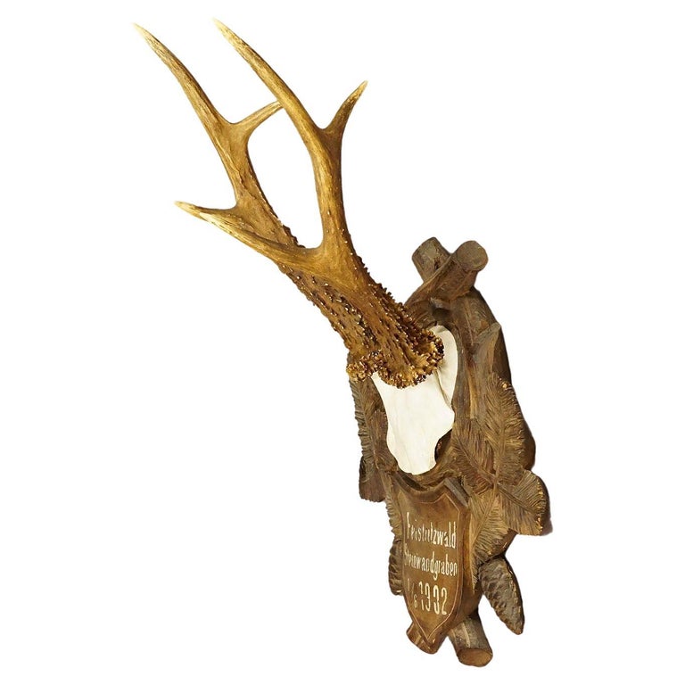 Great Deer Trophy Mount on Wooden Carved Plaque, 1902 For Sale at 1stDibs