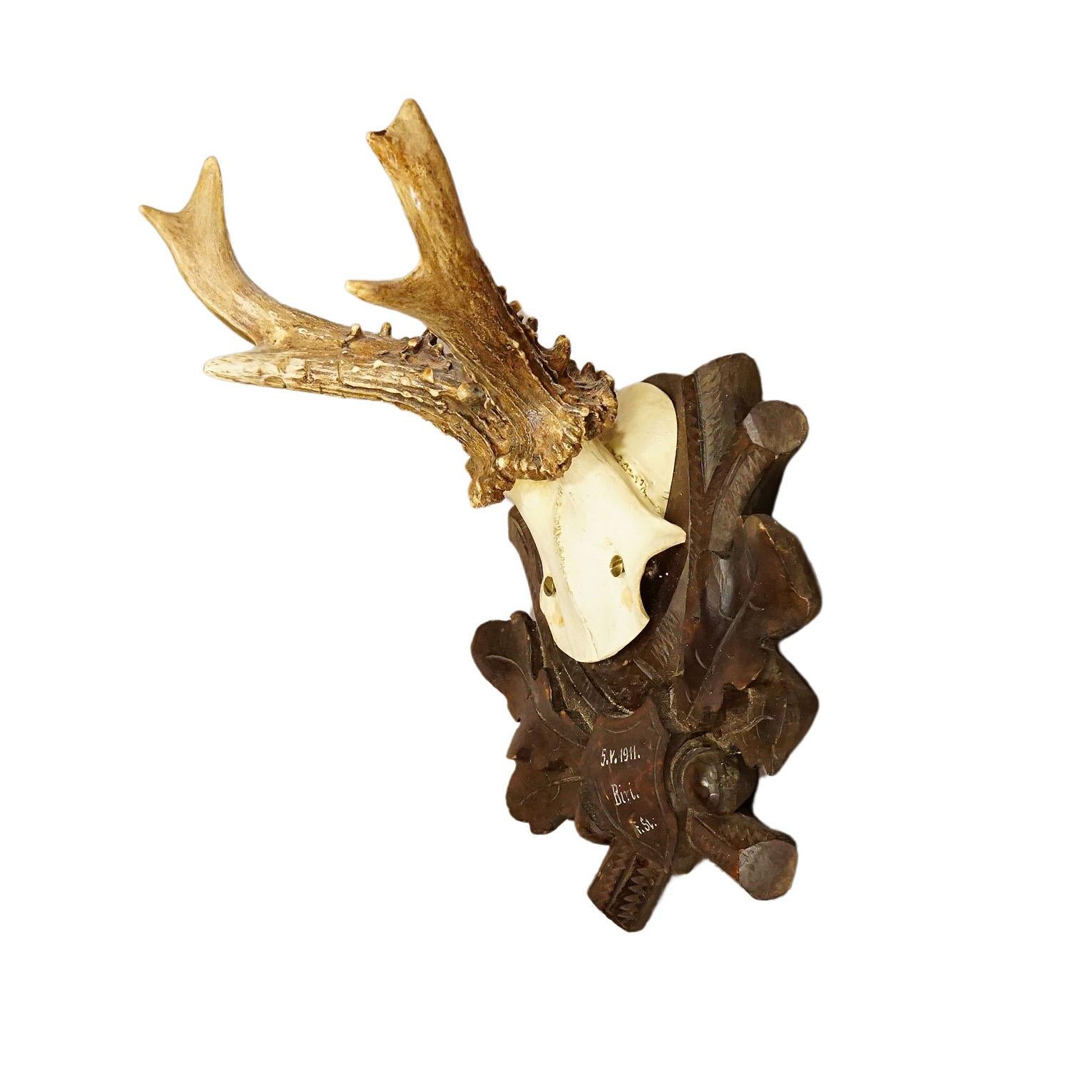 Great Deer Trophy Mount on Wooden Carved Plaque, 1911 For Sale at 1stDibs