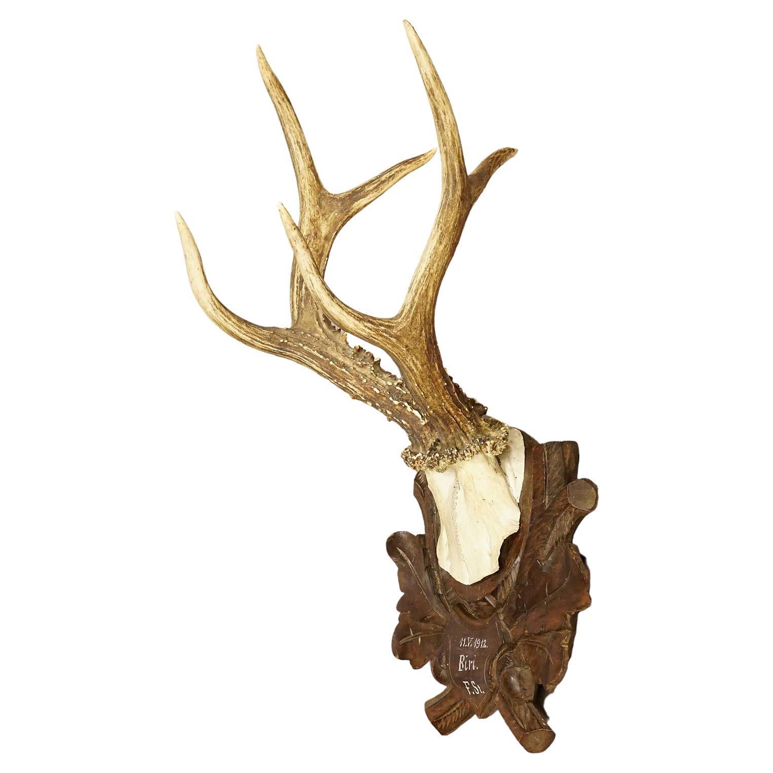 Pair 19th Century French Mounted Deer Antler Trophies on Carved Walnut ...