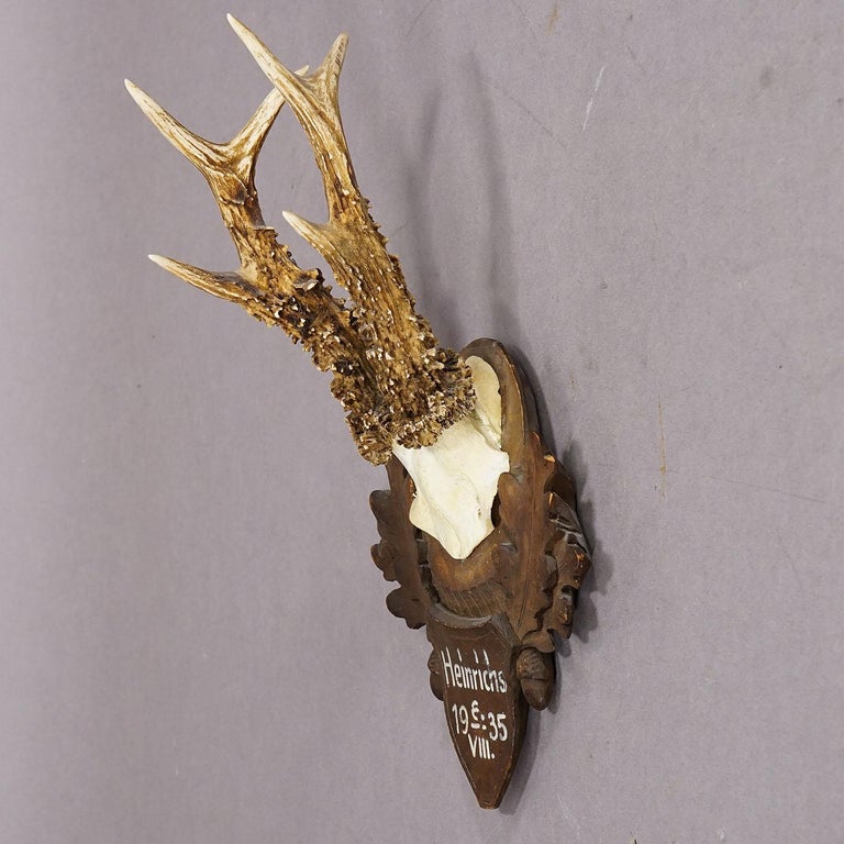 Great Deer Trophy Mount on Wooden Carved Plaque 1935 For Sale at 1stDibs