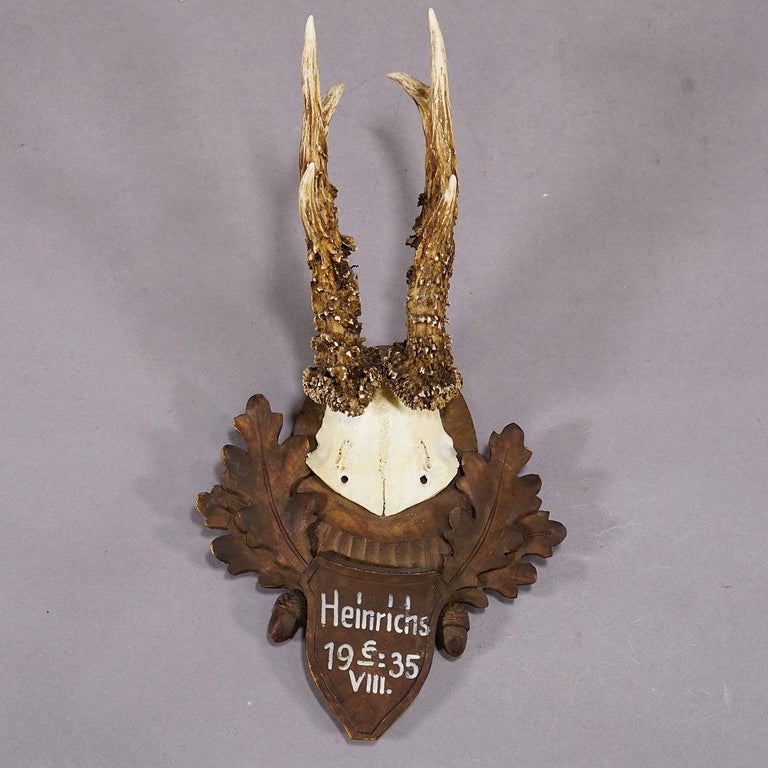 Great Deer Trophy Mount on Wooden Carved Plaque 1935 For Sale at 1stDibs