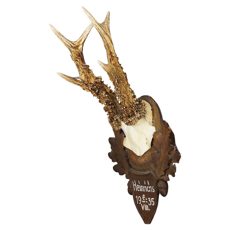 Great Deer Trophy Mount on Wooden Carved Plaque 1935 For Sale at 1stDibs