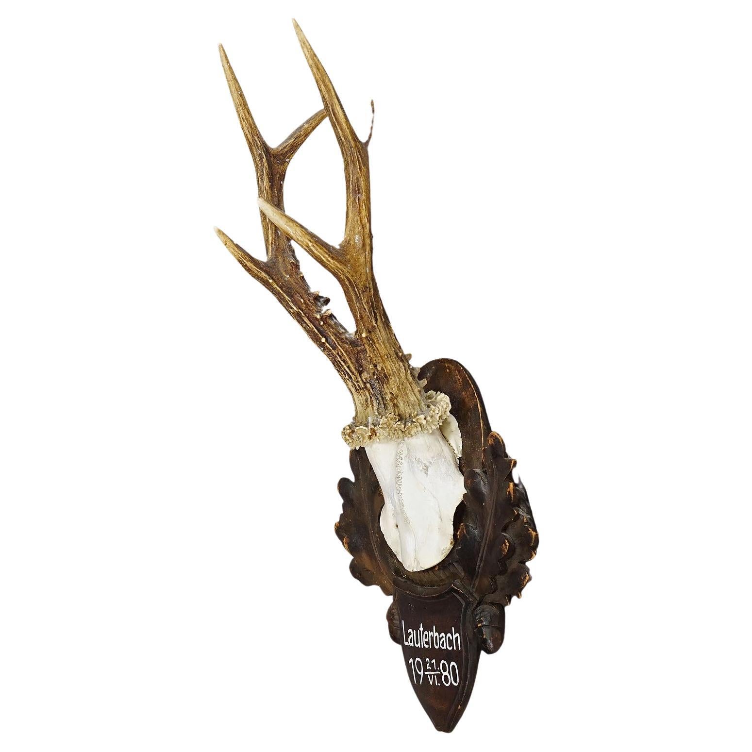 Habsburg Hunt Trophy with Original Habsburg Double Headed Eagle Wappen ...