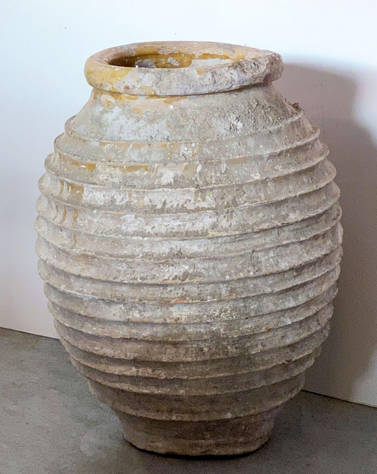 Greek Garden Urn or Oil Jar at 1stDibs | greek oil jar, greek urns for sale