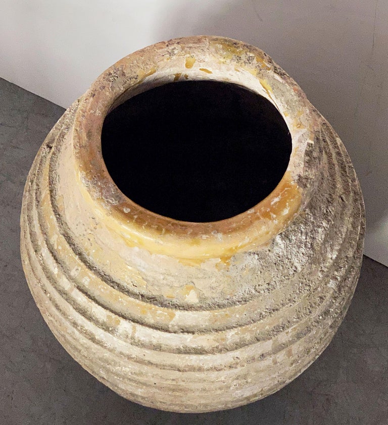 Greek Garden Urn or Oil Jar at 1stDibs | greek oil jar, greek urns for sale