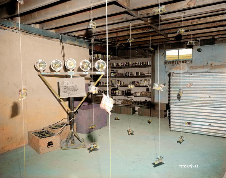 Greg Mac Gregor - Food Storage Test For Sale at 1stDibs